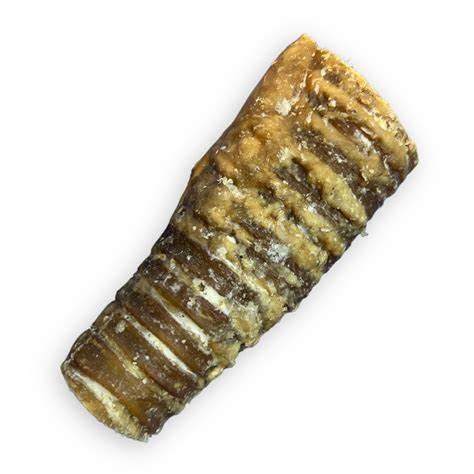 Beef Trachea – Raw Essex